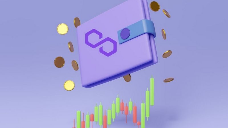 How To Choose The Best Polygon Wallet Kommunitas Blog