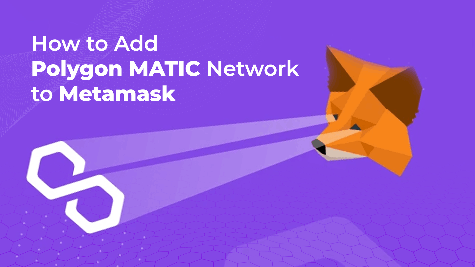 How to Add Polygon (MATIC) Network to MetaMask | Kommunitas Blog